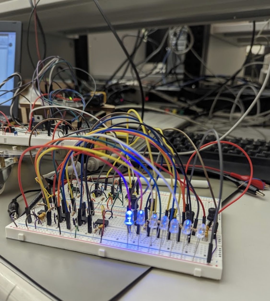 Vidushi Gautam - Portfolio